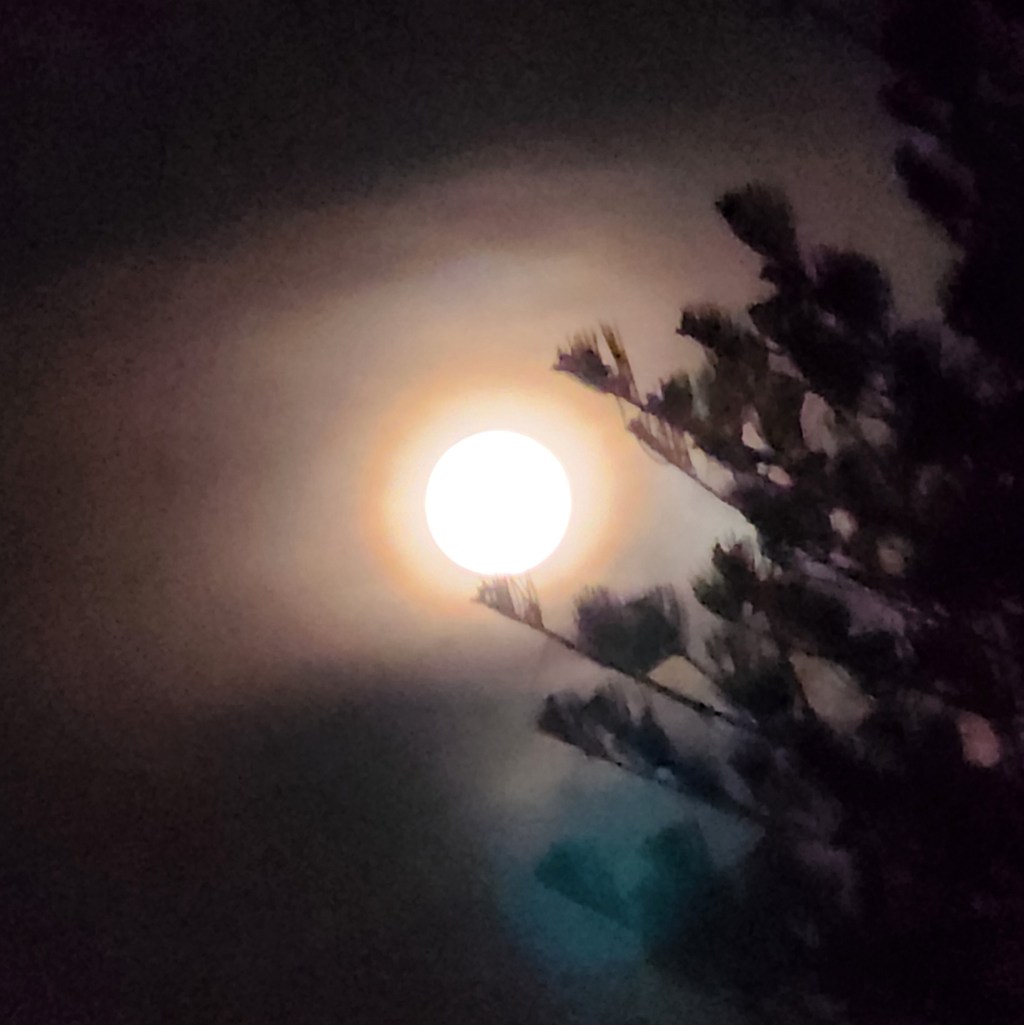 Celebrating Nature’s Dates and Lunar Cycles – Treechange life